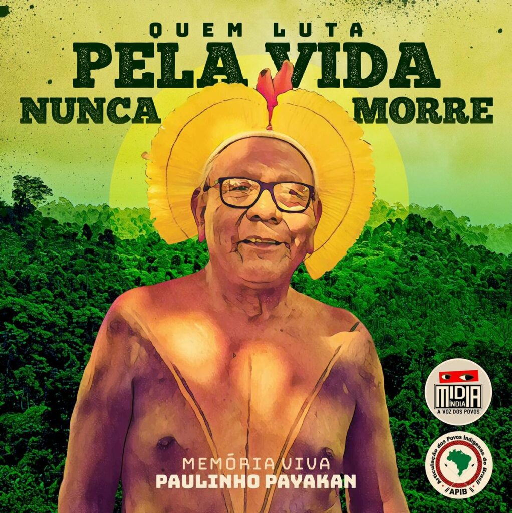 APIB - Articulação dos Povos Indígenas do Brasil - AWASQA